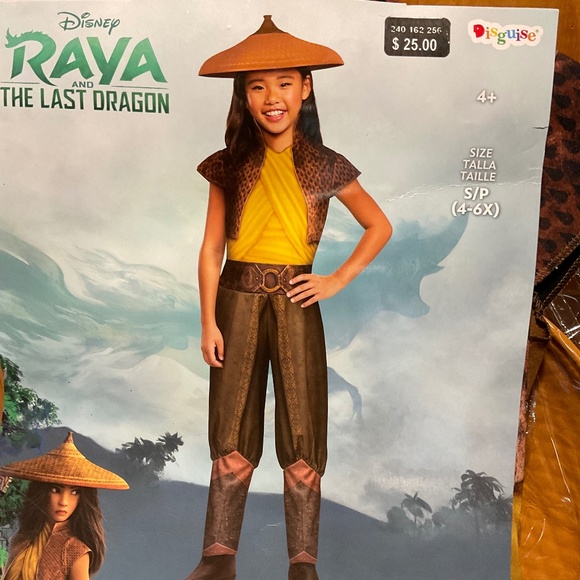 Disney | Costumes | Nwt Disneys Raya Costume | Poshmark